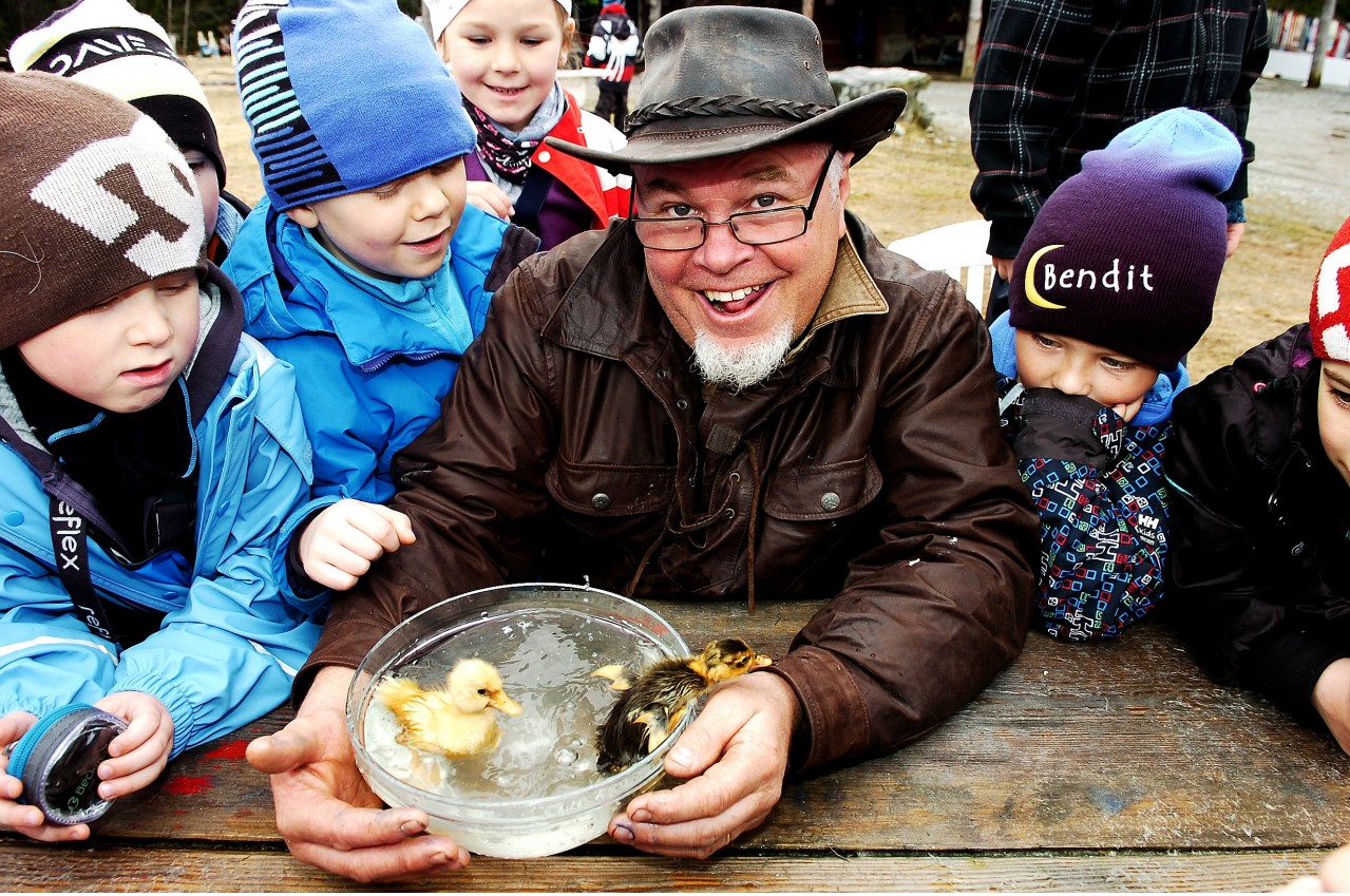 Tre søte små andunger - Stirling Station